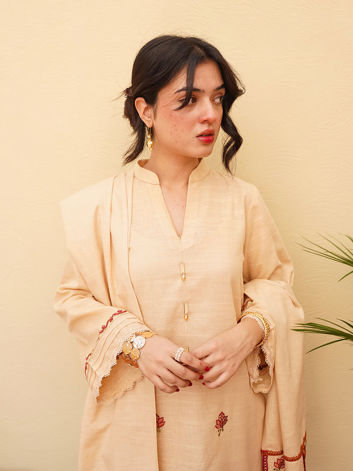 Stylish Winter Dress Designs for Ladies in Pakistan – Collar&Cuffs